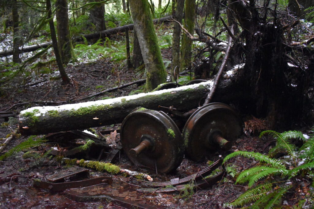 Tiger Mountain 1925 Train Crash Site – TrailChick