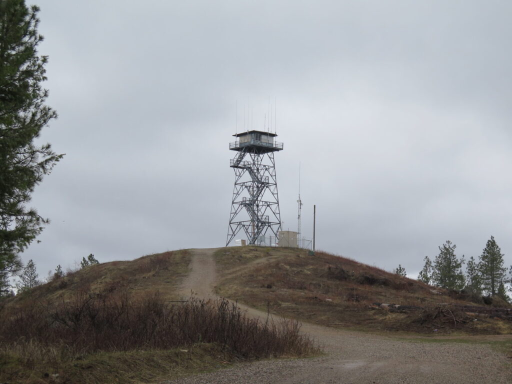 Wellpinit Mountain – TrailChick