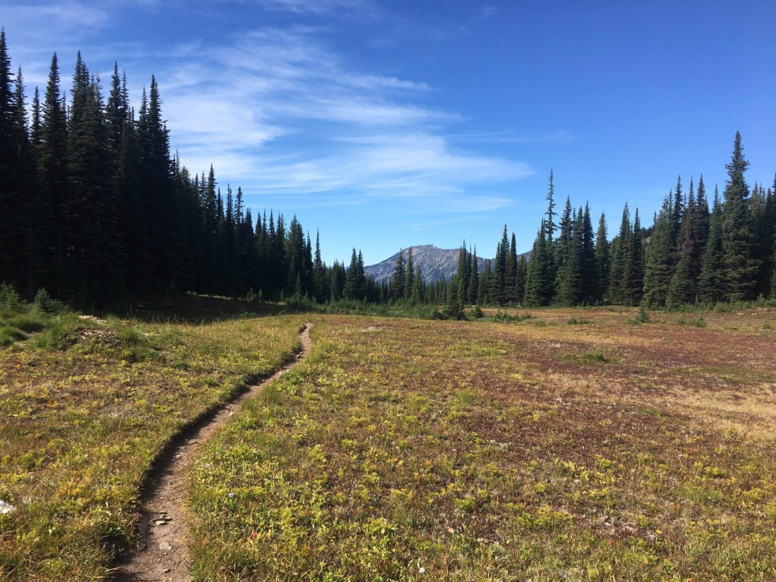 Backpacking to Heaven on the Devils Dome Loop – TrailChick