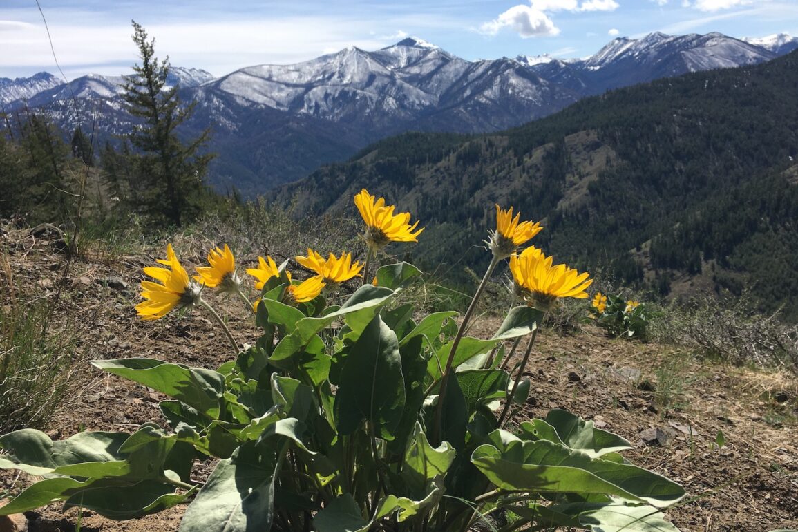 High Rock – TrailChick