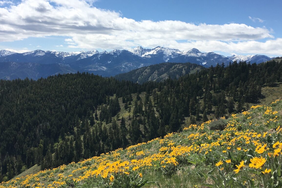 Washington State’s 93* Historic Fire Lookouts – TrailChick