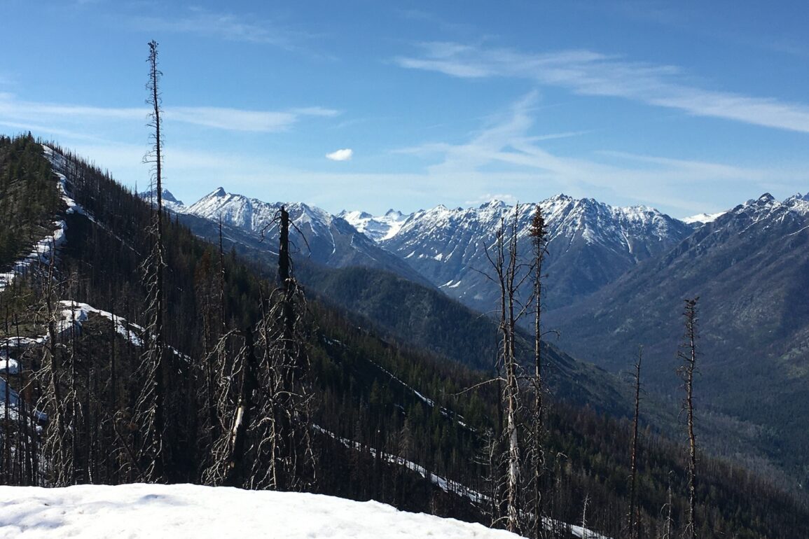 Mount Fremont – TrailChick