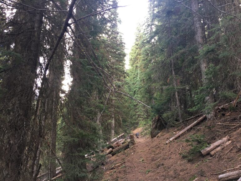 Muckamuck Mountain Lookout Site – TrailChick