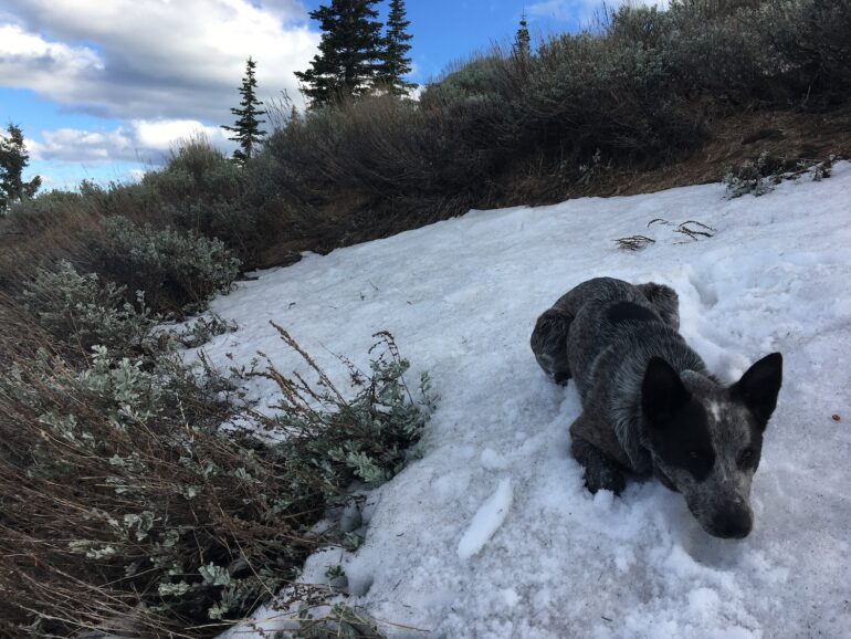 Muckamuck Mountain Lookout Site – TrailChick