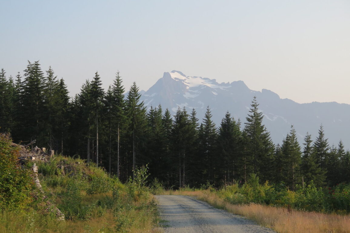 Miners Ridge – TrailChick