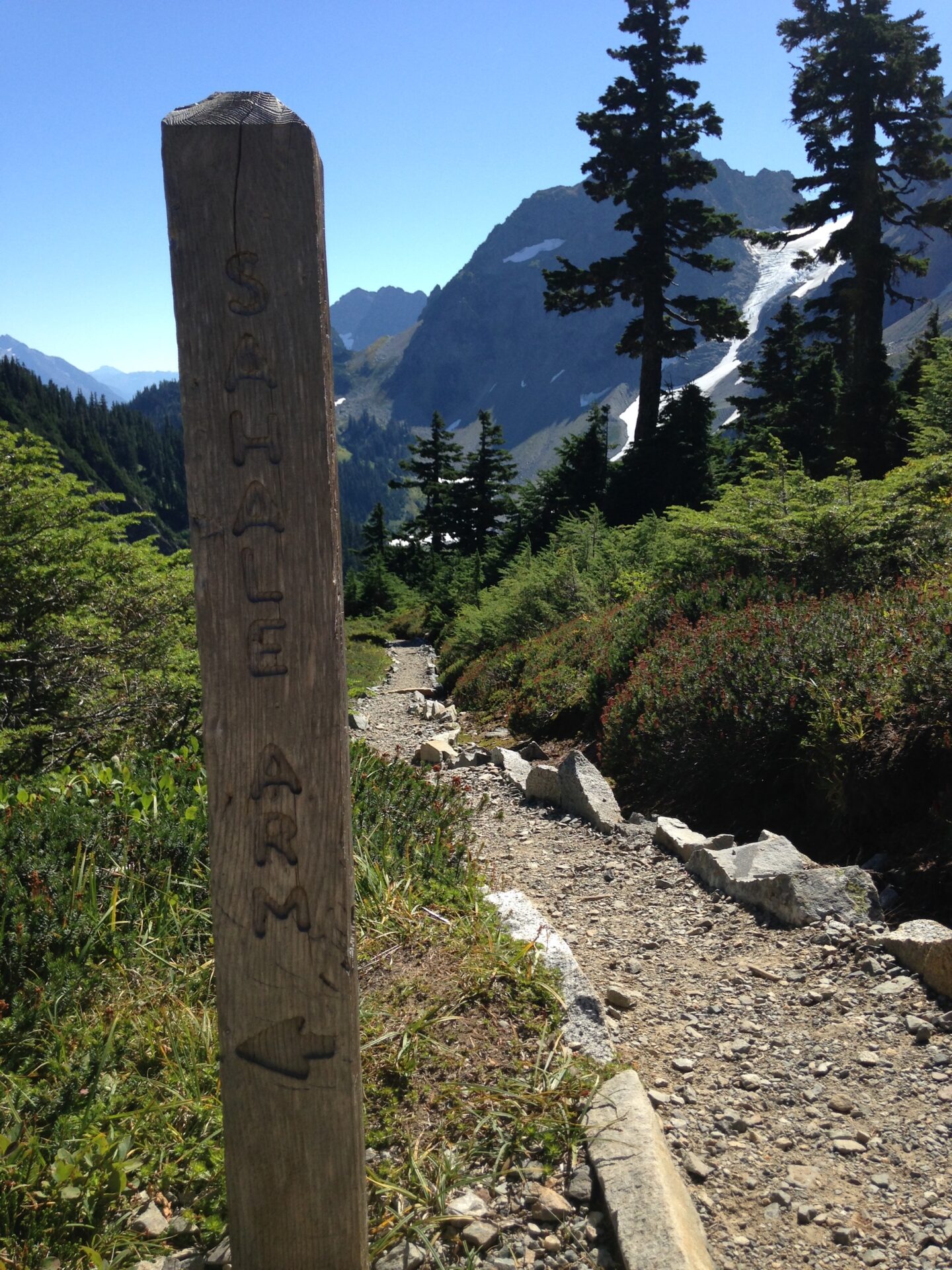 Mount Fremont Lookout - TrailChick