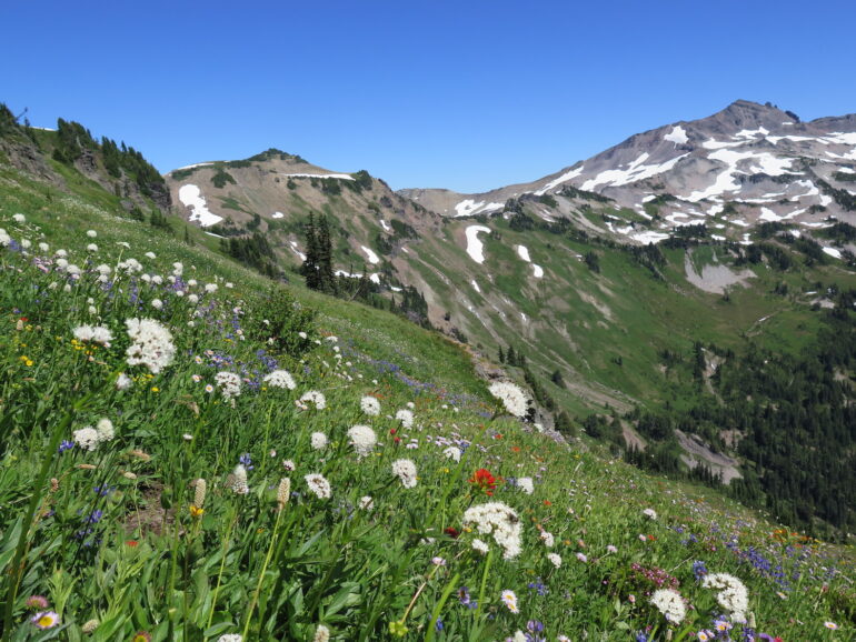 Goats Rocks Loop: Goat Ridge and Hawkeye Point Lookout Sites – TrailChick