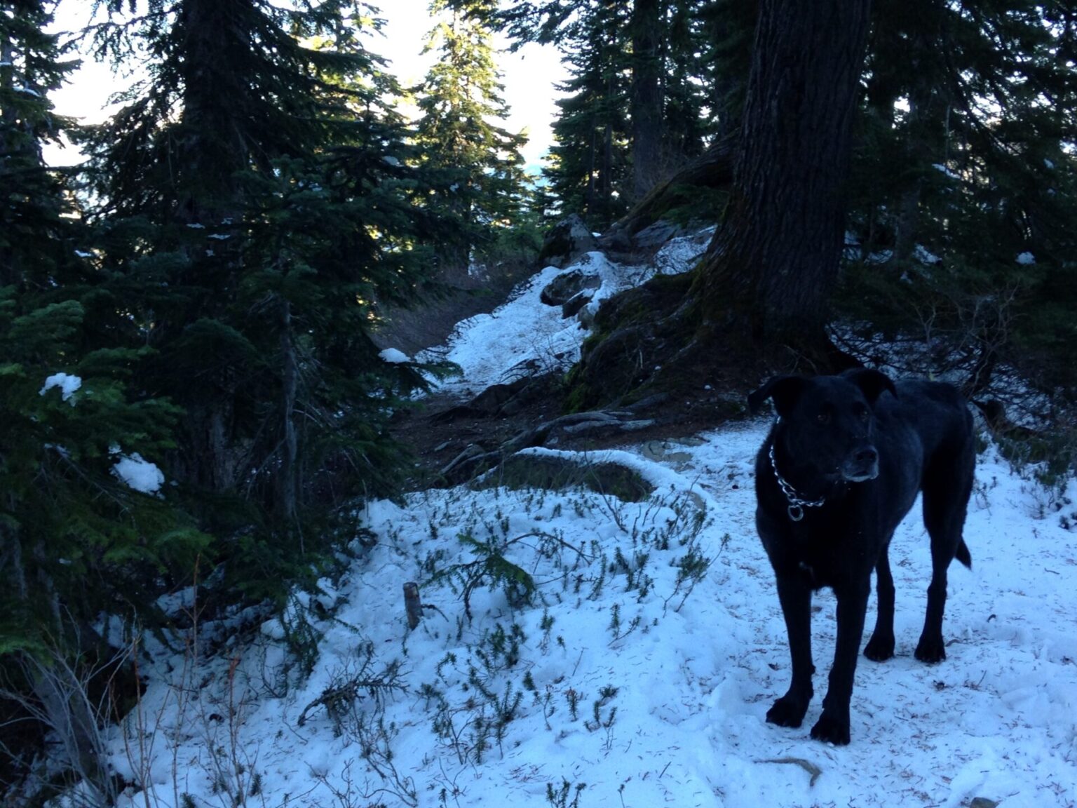 Going Solo – TrailChick