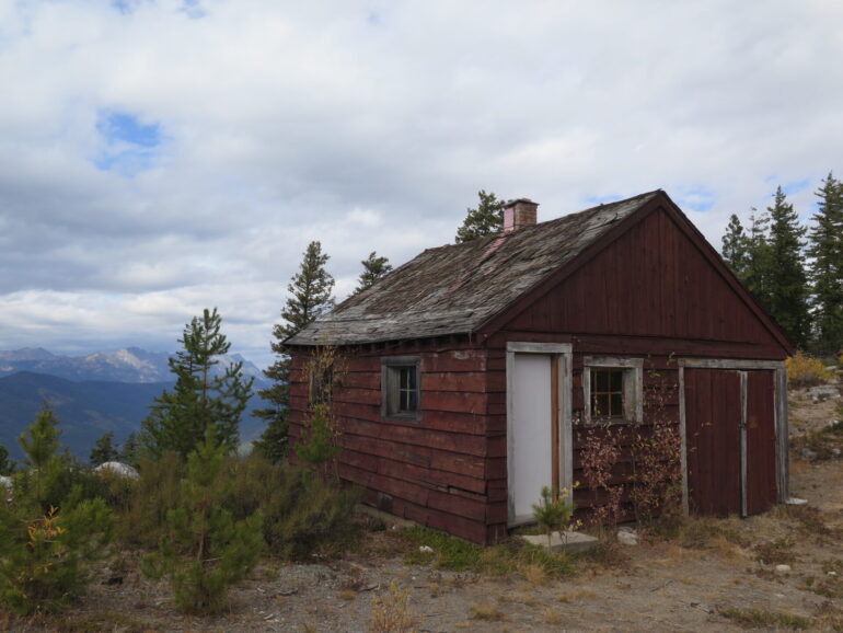 Larches and Lookouts – TrailChick