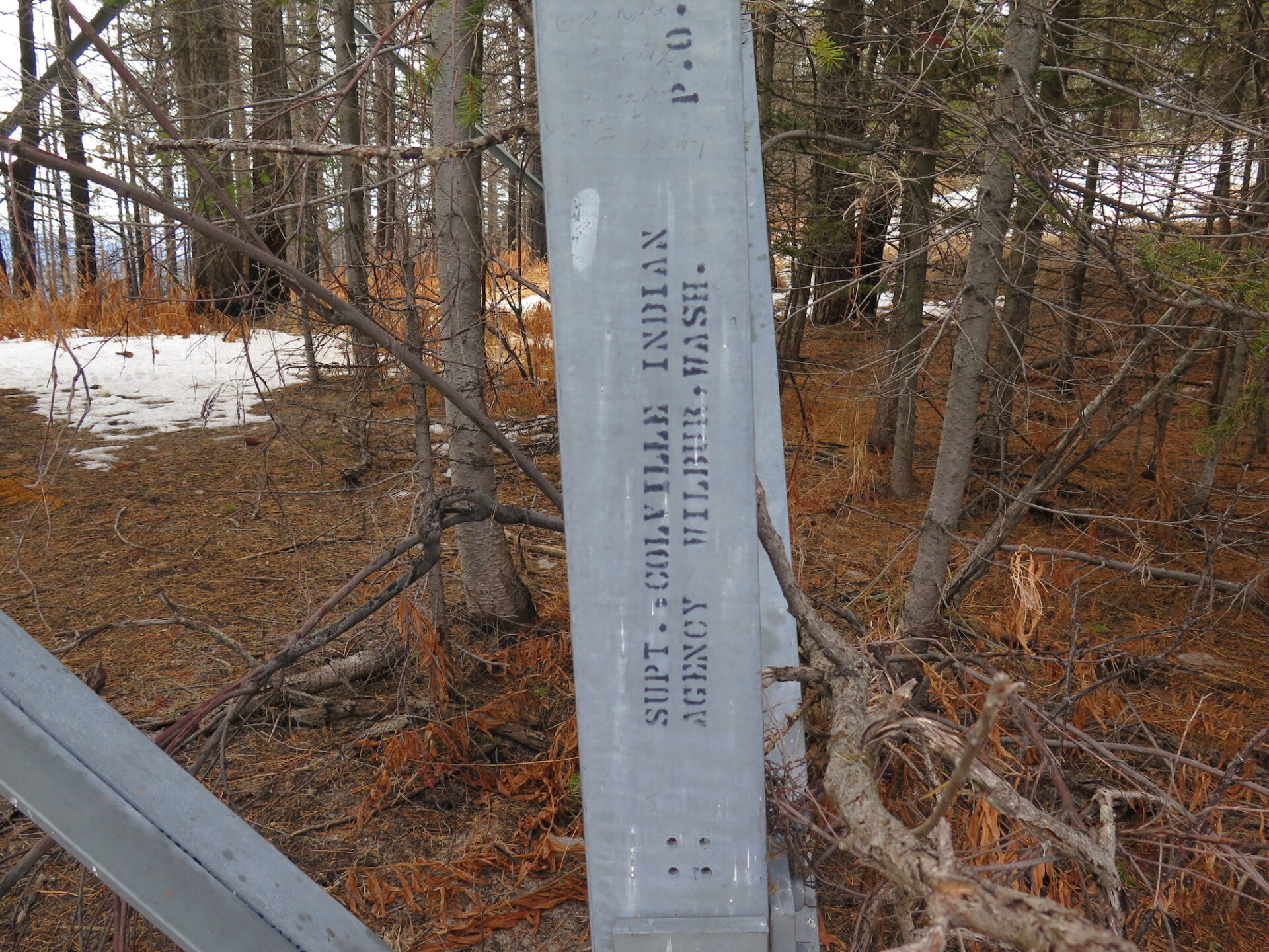 Armstrong Mountain – TrailChick