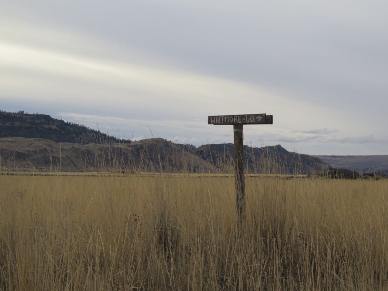 Whitmore Mountain – TrailChick