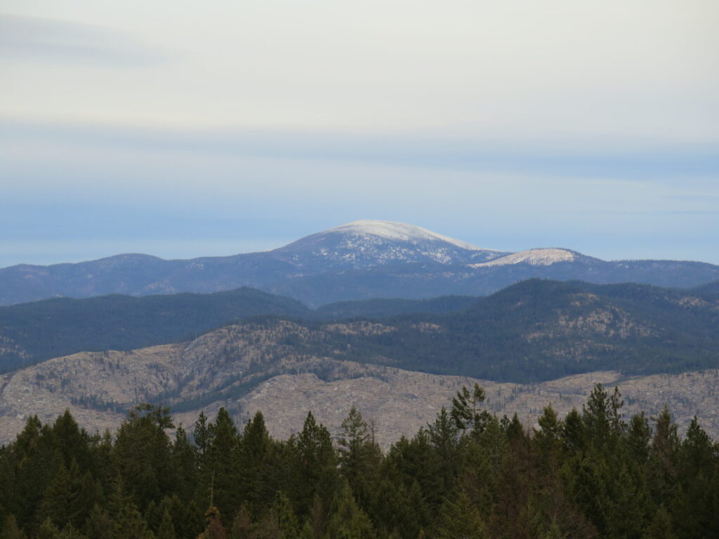 Whitmore Mountain – TrailChick