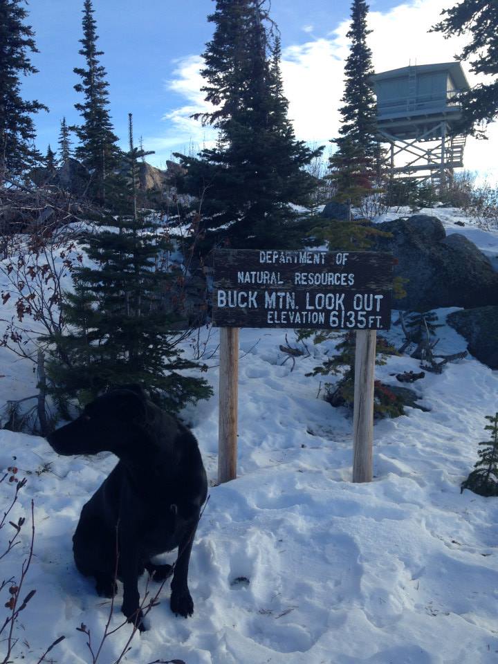 lookout – TrailChick