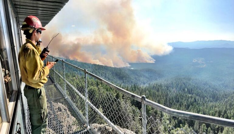 Whitestone Ridge – TrailChick